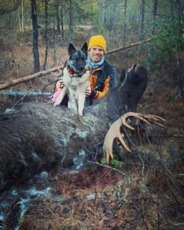 Svenska Gråhundklubben | Styrelsen